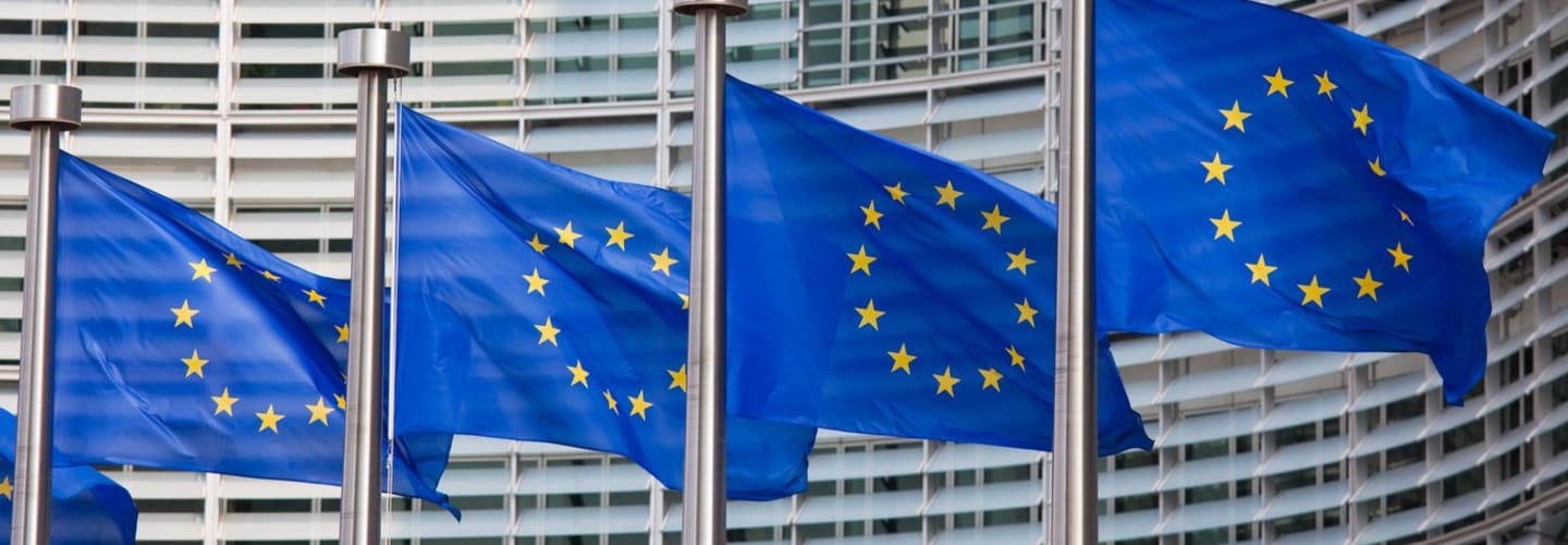 Time Machine: A Pan-European Digitisation And Processing Infrastructure ...