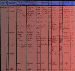 Time Machine Academies : Time Machine Europe